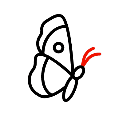 Diamond (ไดมอนด์) | Tagnimal